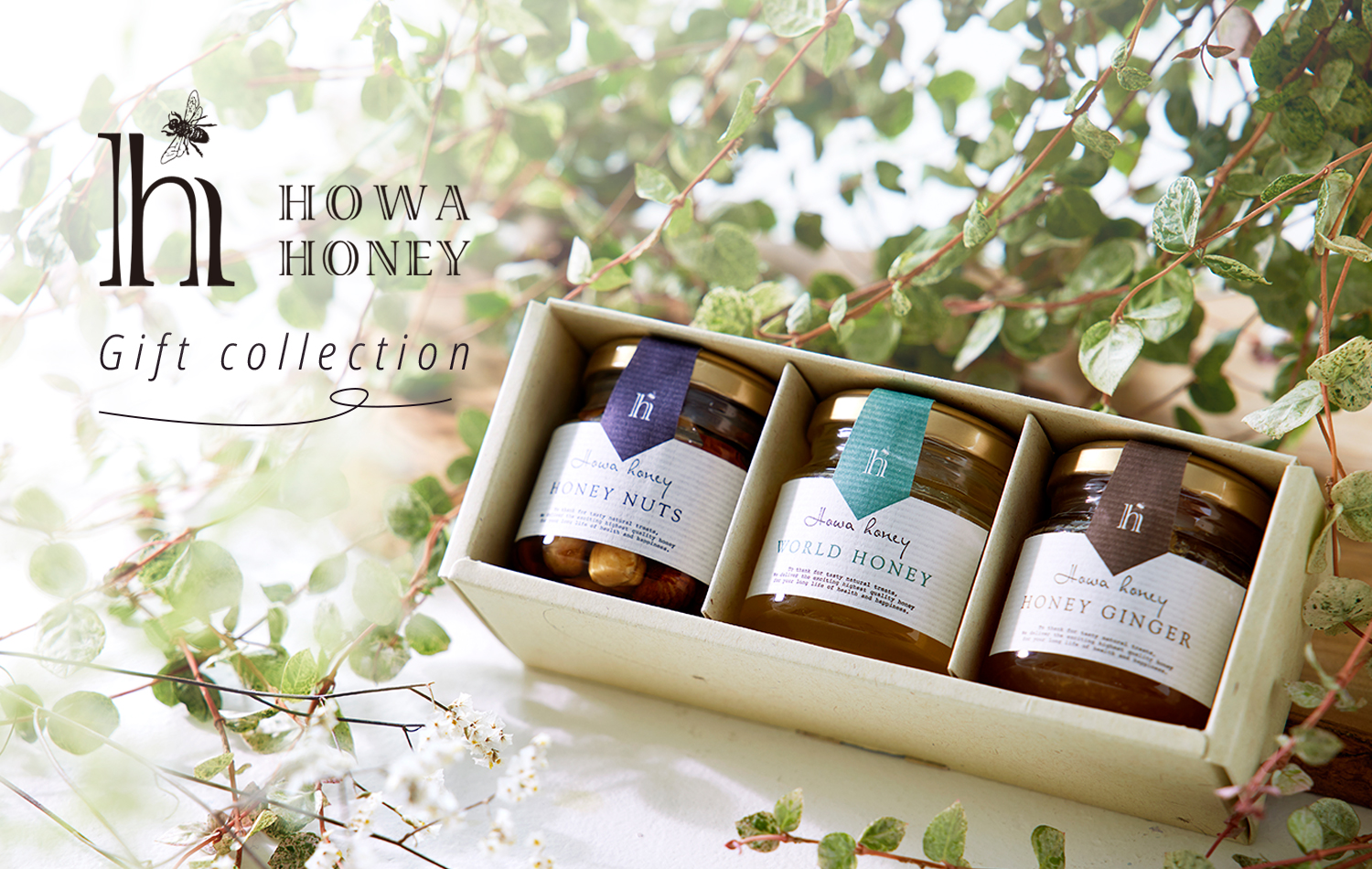 HOWAのはちみつ｜アカシア蜂蜜・生姜はちみつ・はちみつナッツ ギフト